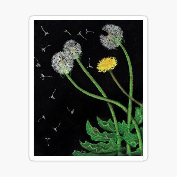 "Dandelions" Sticker for Sale by PhilipHarvey | Redbubble