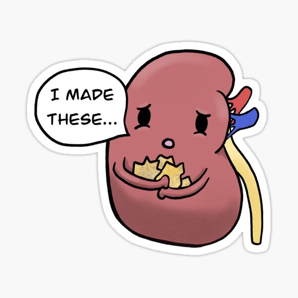 "Kidney stones" Sticker for Sale by ymaruchan | Redbubble