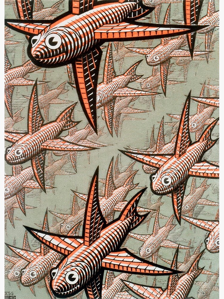 Fish Missile, by M.C. Escher Premium Matte Vertical Poster sold by ...