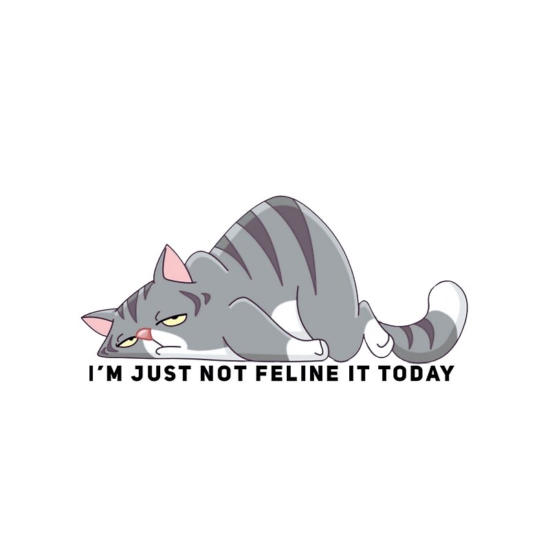 "Funny Cat Design Collection" by Motif8 | Redbubble