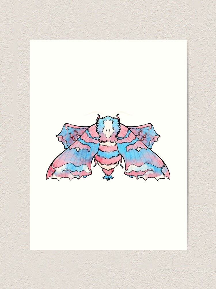 "Pride Moth: Transgender" Art Print for Sale by EvaraHargreaves | Redbubble