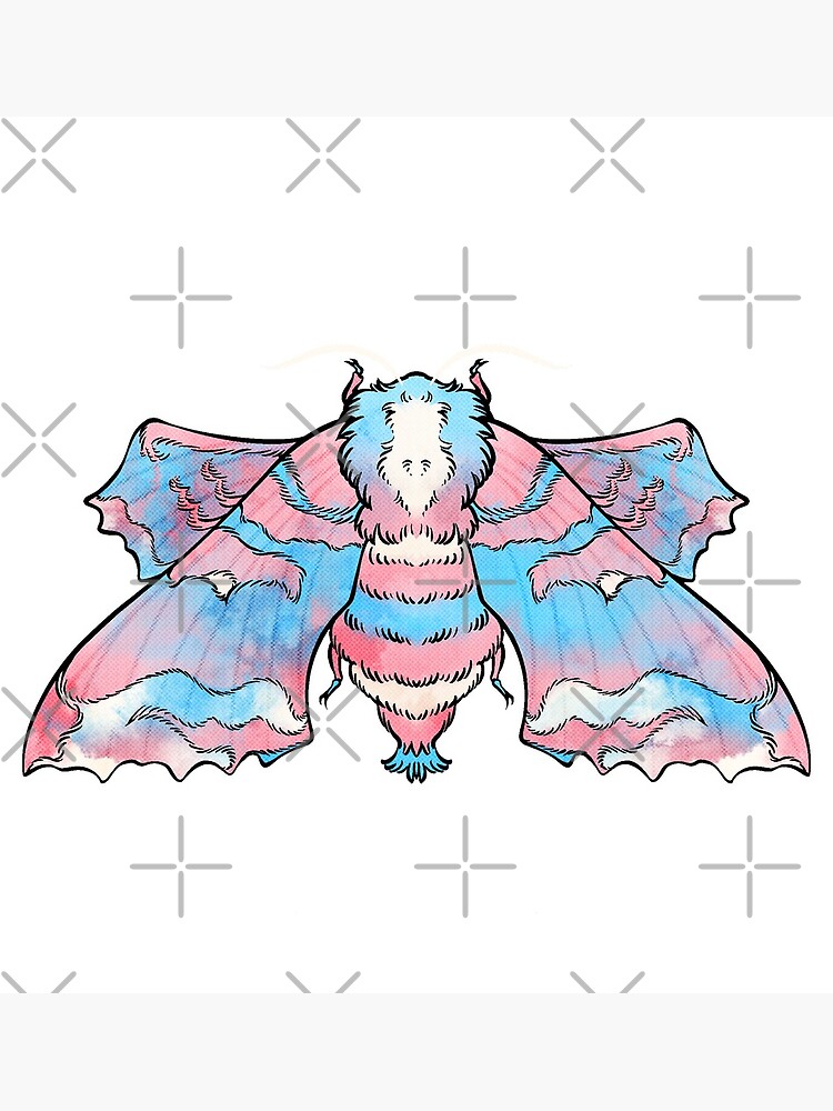 "Pride Moth: Transgender" Art Print for Sale by EvaraHargreaves | Redbubble