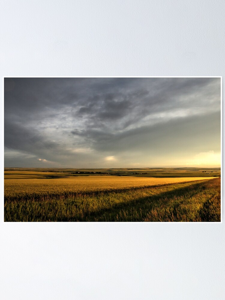"Prairie Gold" Poster by Tracelle | Redbubble