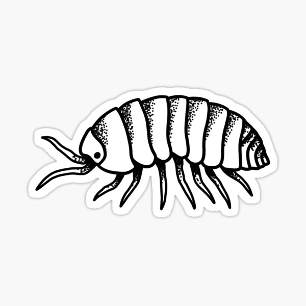 "Isopod" Sticker for Sale by Shramplet | Redbubble