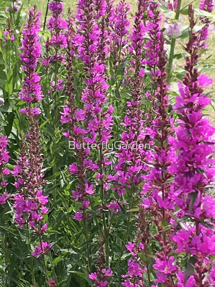 " tall pink flowers" Sticker for Sale by ButterflyGarden | Redbubble