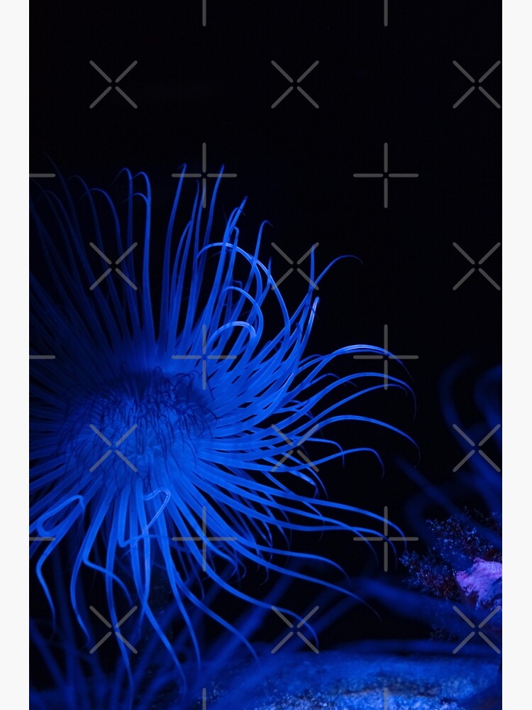 "Dark Color" Poster for Sale by Maheshg | Redbubble