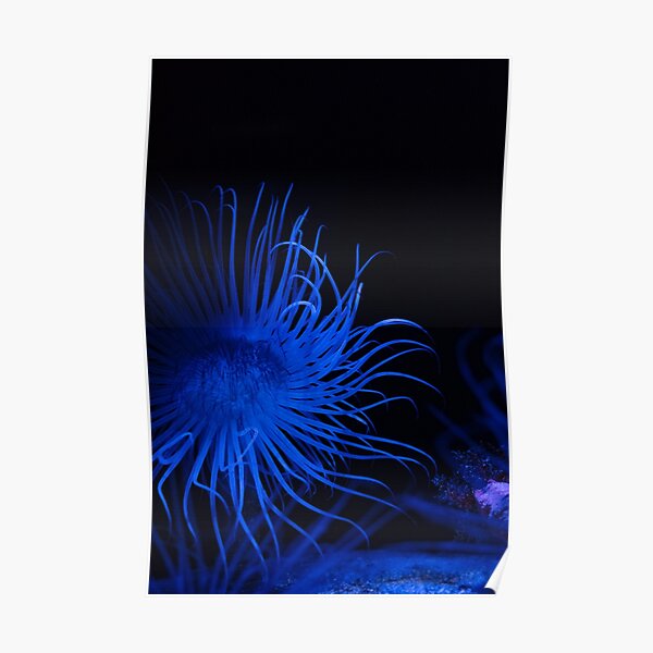"Dark Color" Poster for Sale by Maheshg | Redbubble
