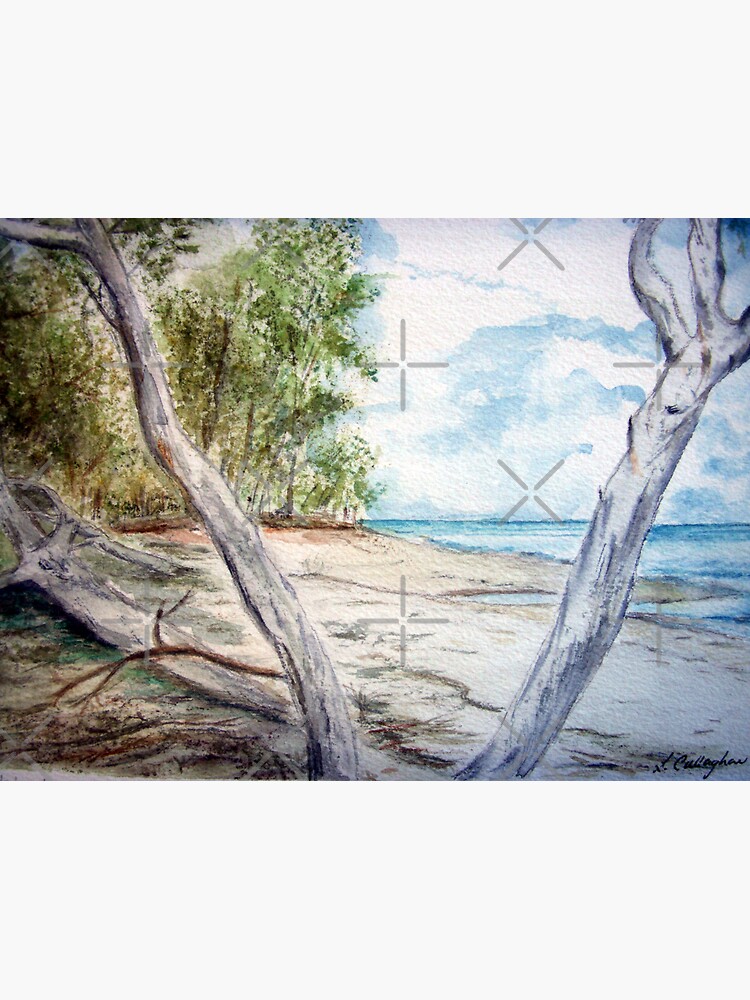 "Fraser Island, Australia" Sticker for Sale by LindArt1 | Redbubble