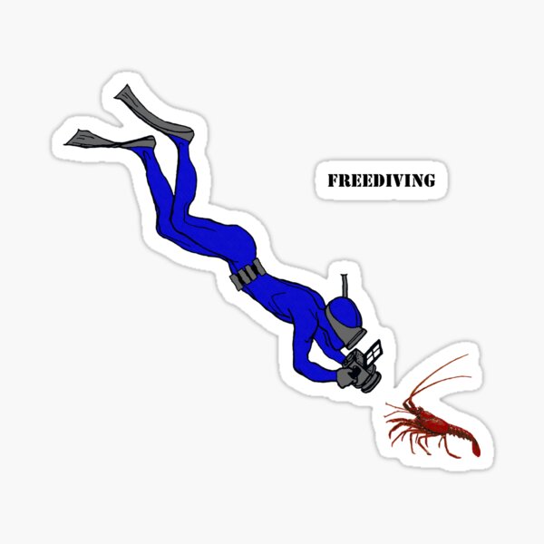 "Freediving Diver Photographing a Spiny Lobster Underwater" Sticker for ...