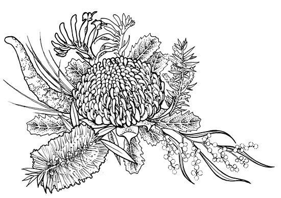 Australian Native Flowers Posters by CharliFaure | Redbubble