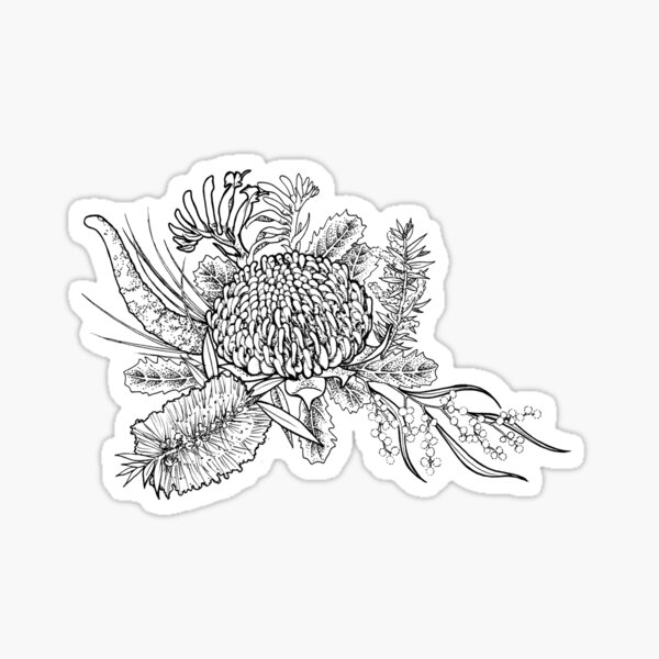 "Australian Native Flowers" Sticker by CharliFaure | Redbubble