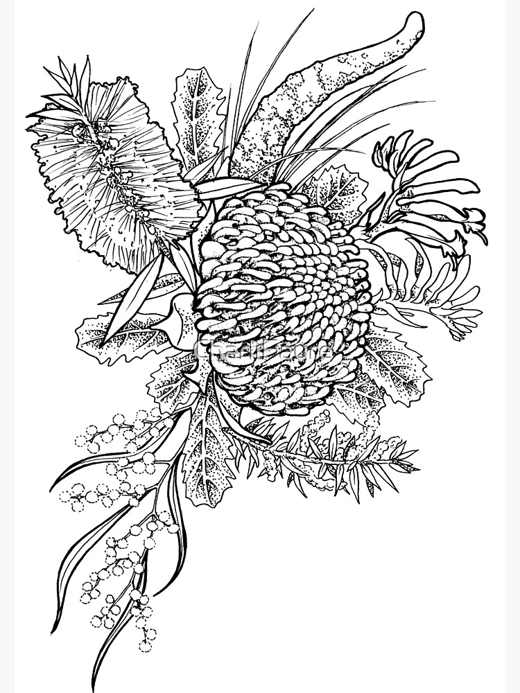 "Australian Native Flowers" Journal for Sale by CharliFaure | Redbubble