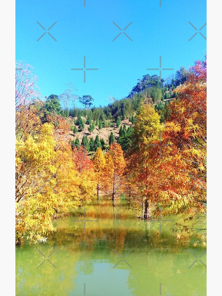 "Larix Pine Trees Scenery" Poster by lazyrootz | Redbubble