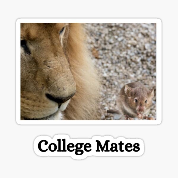 "College Mates" Sticker by erivazan | Redbubble