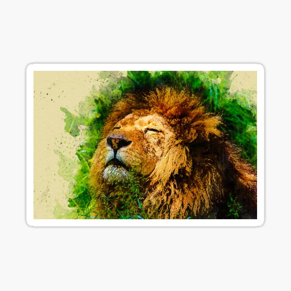 "Male Lion Face" Sticker by Safari-Dreams | Redbubble