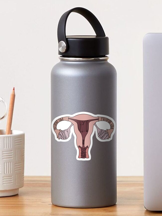 "Labeled Female Reproductive System Anatomy" Sticker for Sale by ...