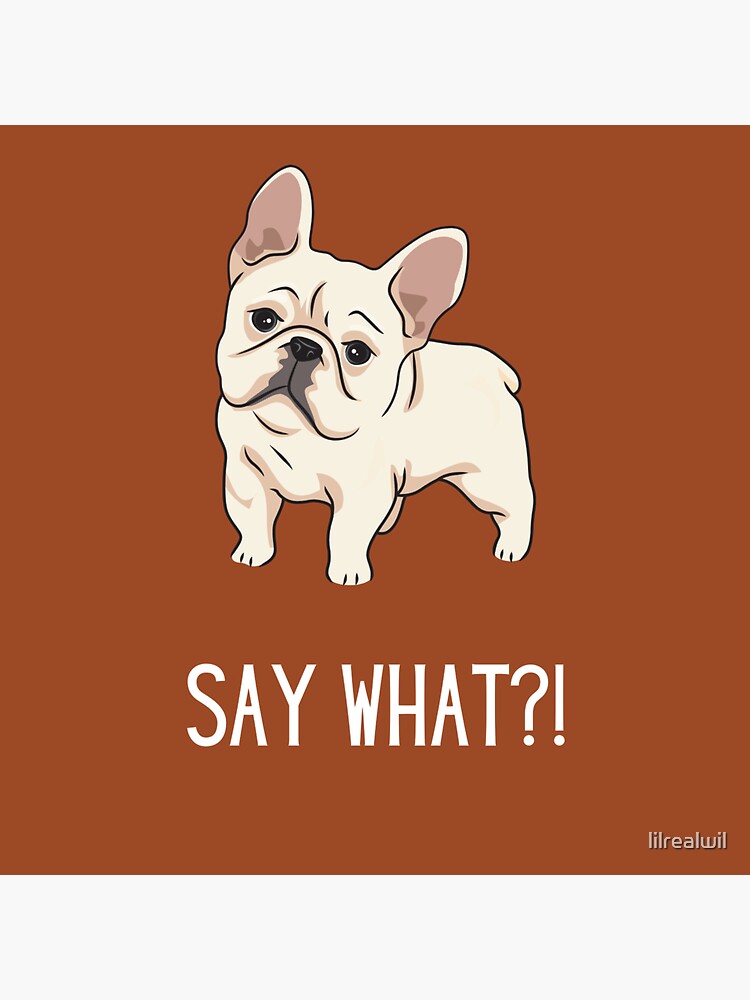 "Say What? Naw!" Sticker for Sale by lilrealwil | Redbubble