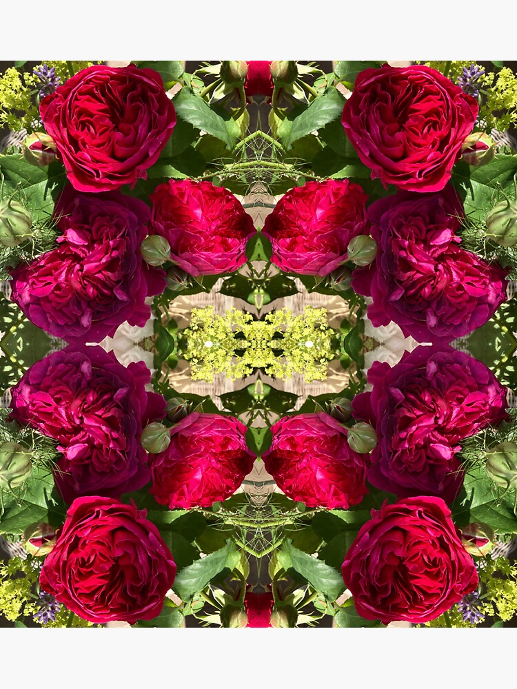 "Old English Red Roses" Sticker for Sale by MillaFlora | Redbubble