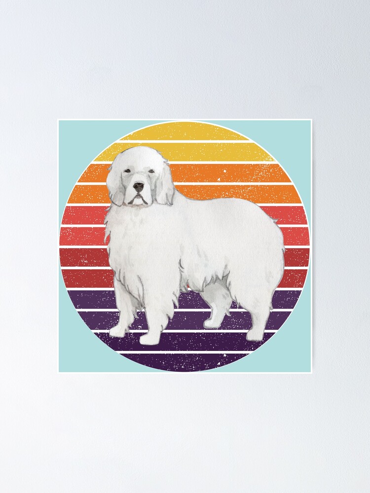 "Cute Cartoon Great Pyrenees dog. The perfect gift for every Great ...