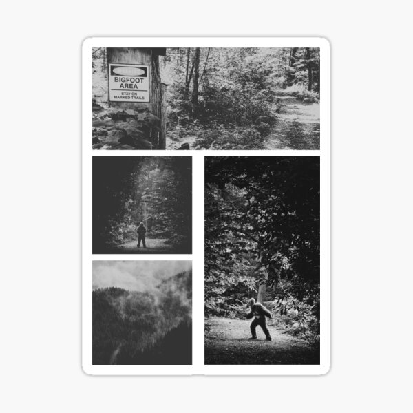 "Bigfoot Forest Collage " Sticker for Sale by creations-byaly | Redbubble