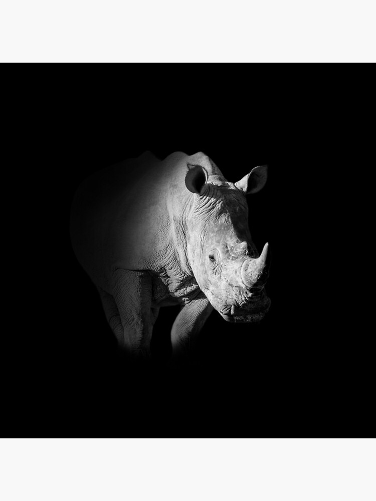 "Black And White Rhino Portrait" Poster by WithersClarke | Redbubble