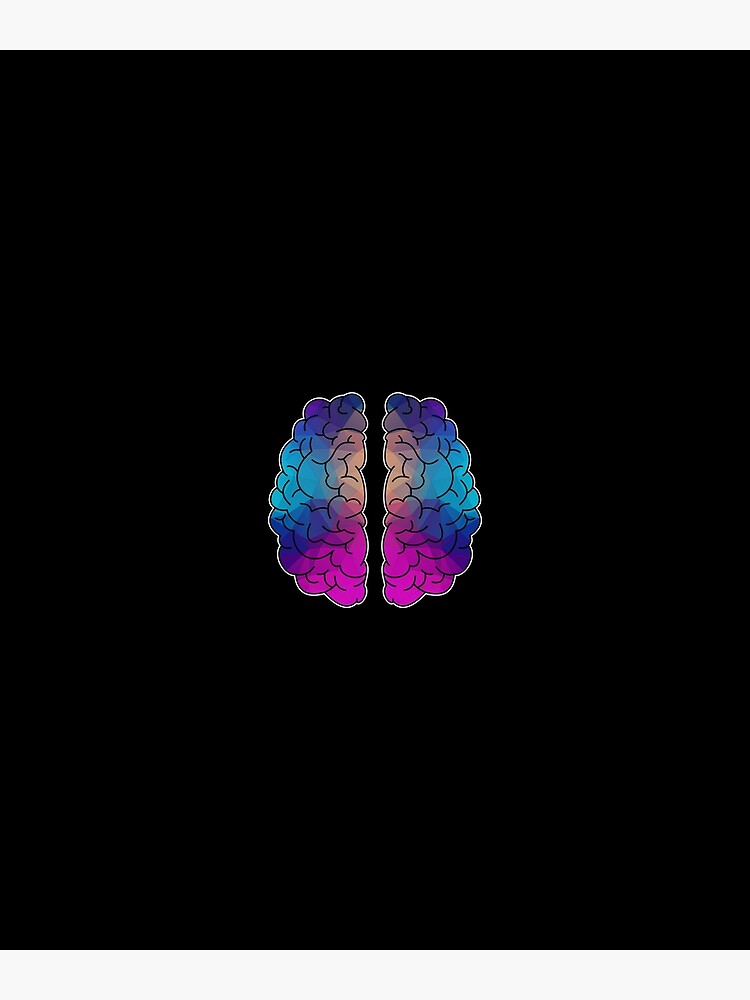 "Colorful Brain, Brain Anatomy, Nervous System, for Science Count4U ...