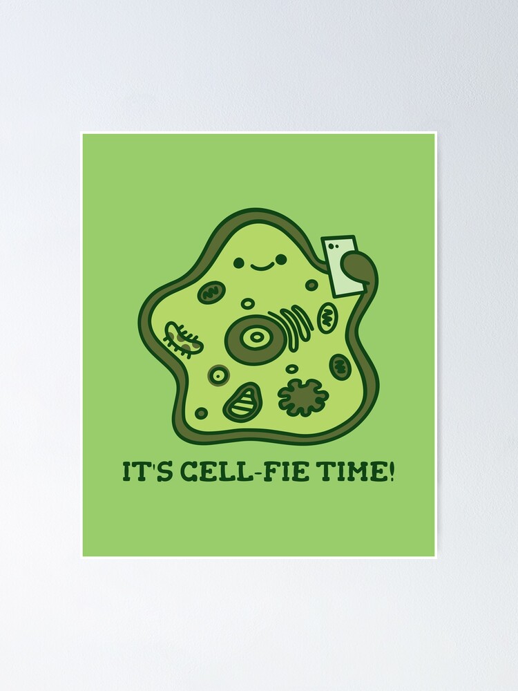"Its cell-fie time!" Poster for Sale by StateesMerch | Redbubble