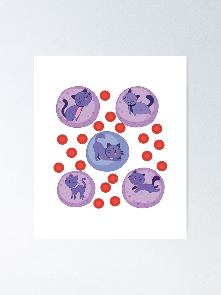 "Funny Hematology Cats - White Blood Cells Cat - WBCs - MLS Cats - cat ...