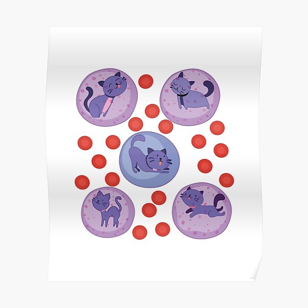 "Funny Hematology Cats - White Blood Cells Cat - WBCs - MLS Cats - cat ...