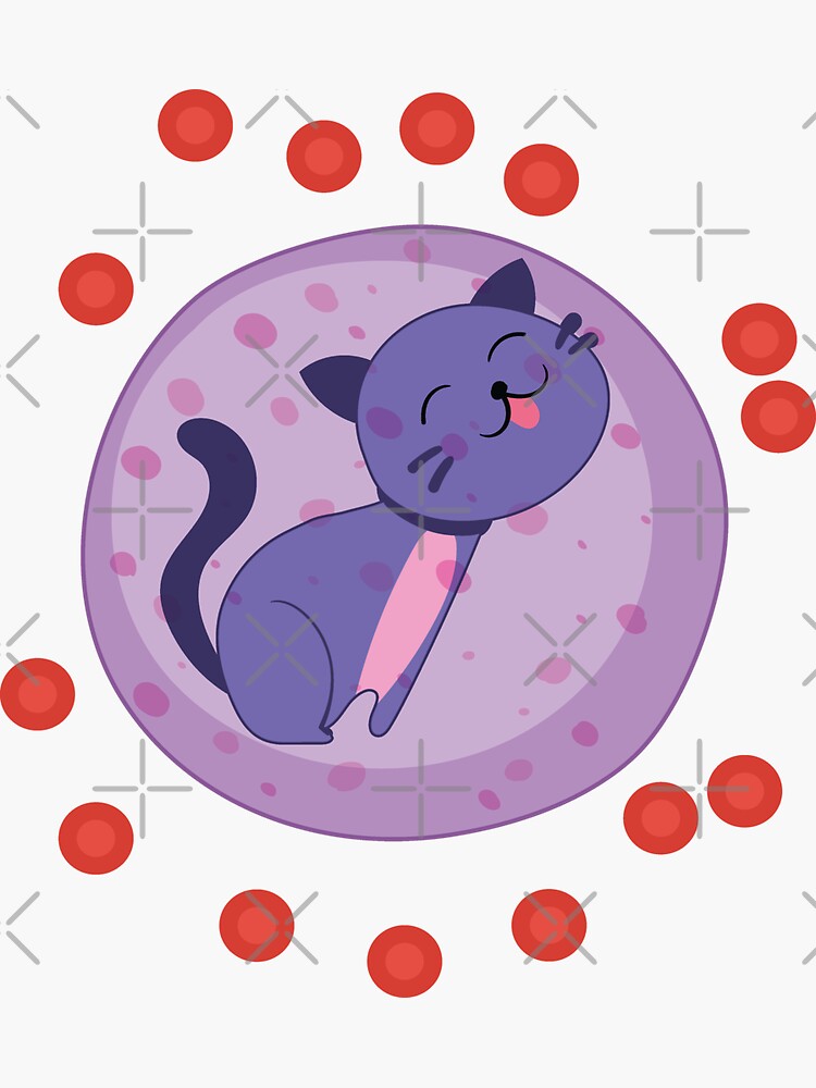 "Funny Hematology Cats - White Blood Cells Cat - WBCs - MLS Cats - cat ...