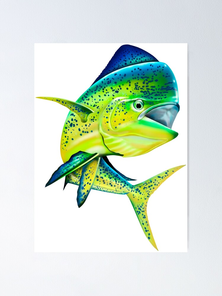 "Mahi Mahi digital painting" Poster by iColor4U | Redbubble