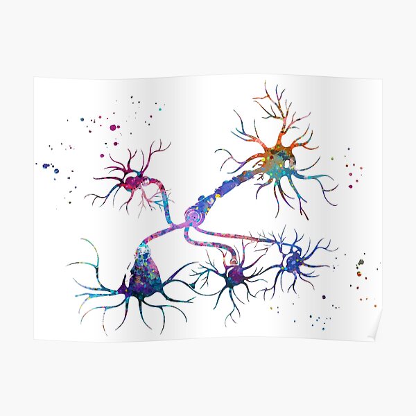 "Neurotransmitter Chemical Synapse" Poster for Sale by EvasDreams ...