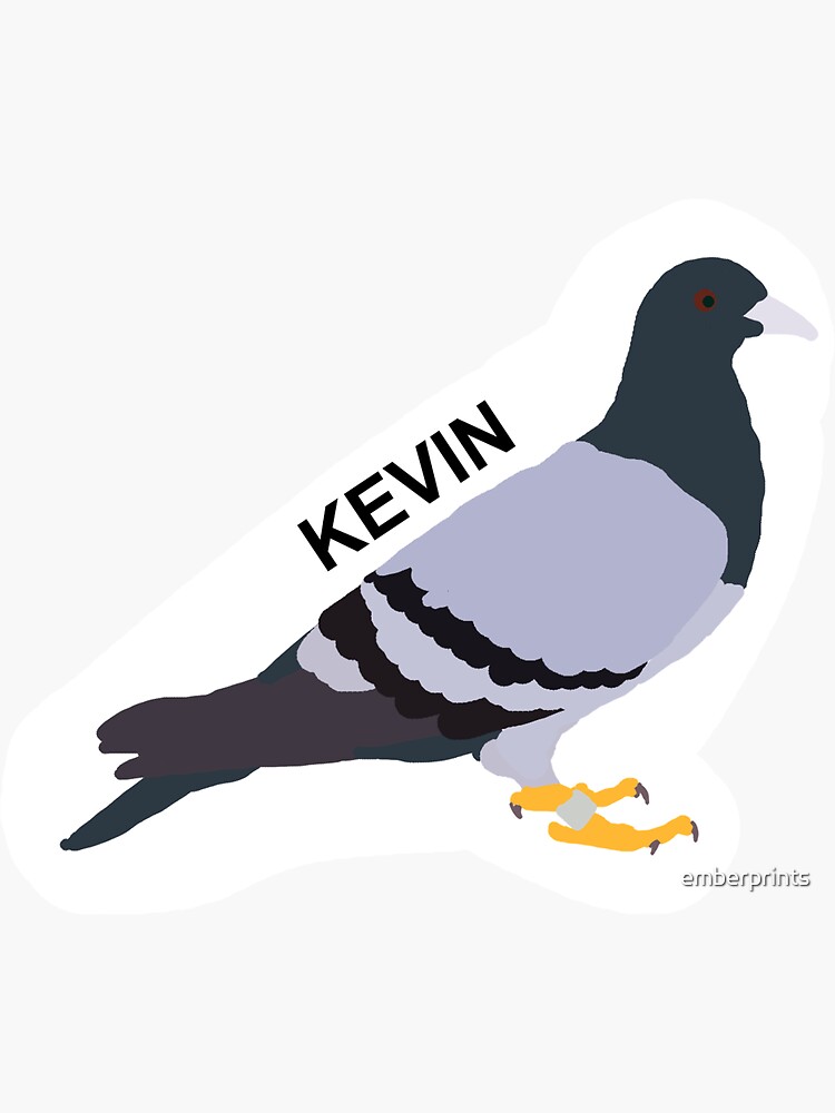 "One Direction Kevin the pigeon" Sticker for Sale by emberprints ...
