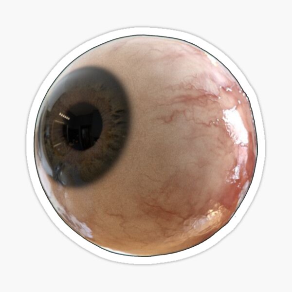 "Creepy Eye Weirdcore Horror Sticker" Sticker for Sale by skullcore ...