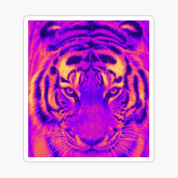 "Tiger | Cat | Wild Animals" Sticker for Sale by no1phoneman | Redbubble