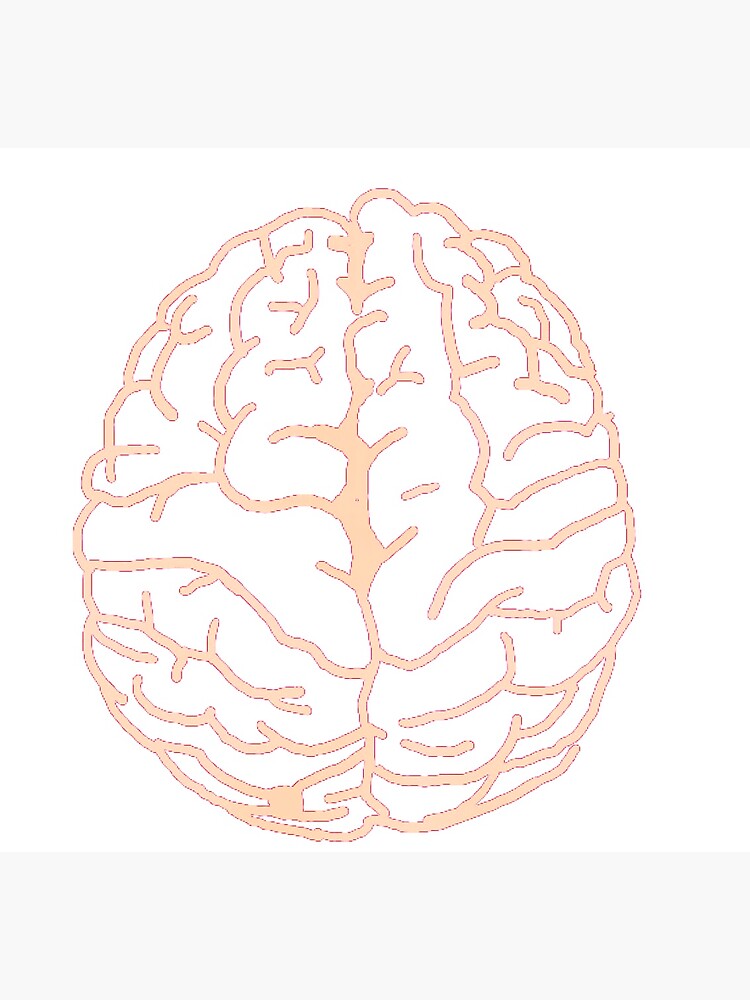 "Pastel Pink Brain outline " Sticker for Sale by icon-oclast | Redbubble