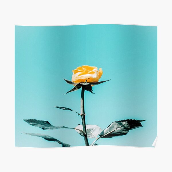 "Edgy" Poster by Creepygirl1010 | Redbubble