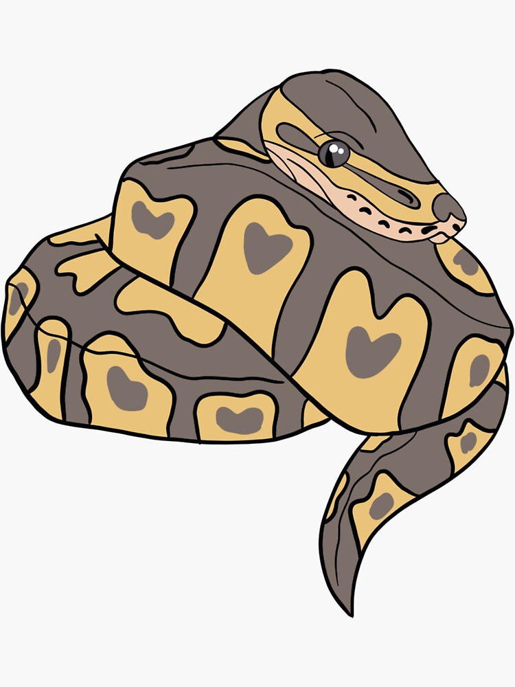 "The pewter morph royal python pattern ‘Bodhi’ " Sticker for Sale by ...