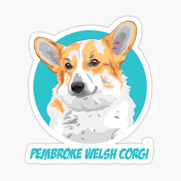 "35 Pembroke Welsh Corgi" Sticker for Sale by pixel-palace | Redbubble