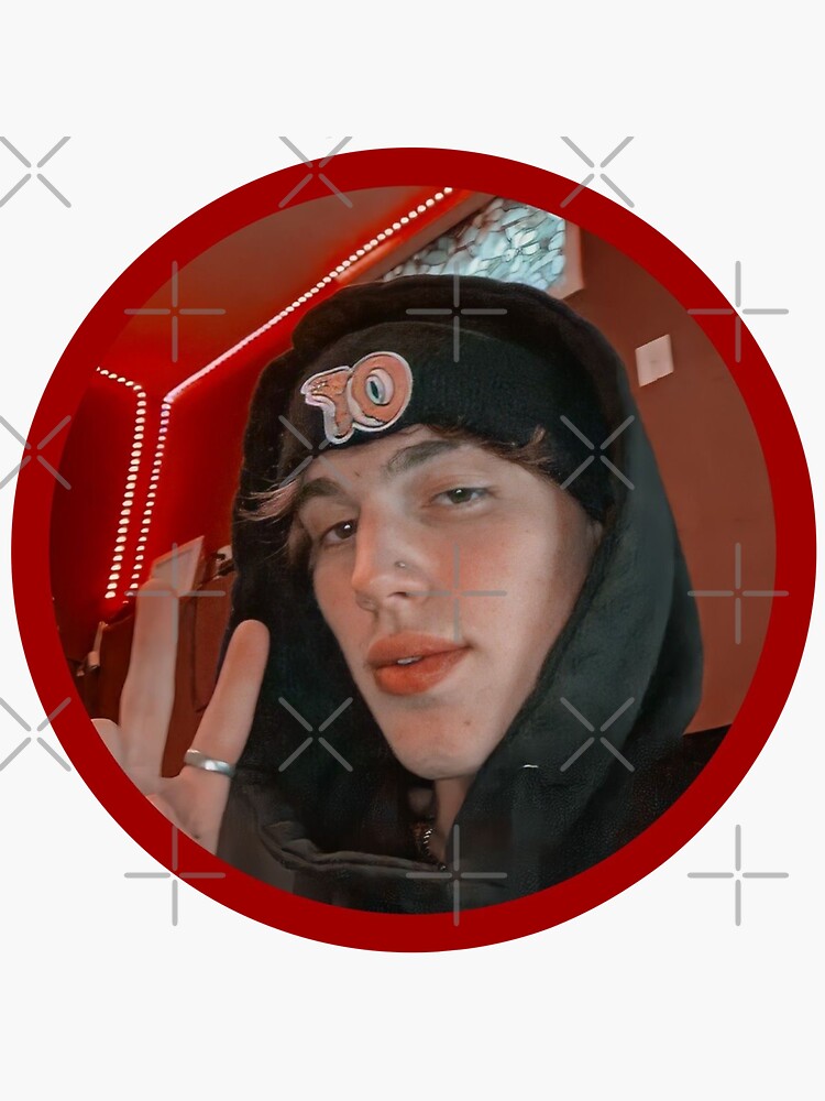 "Vinnie hacker tik tok" Sticker for Sale by lucky-fern | Redbubble