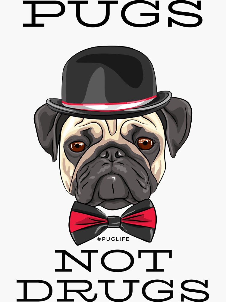 "Pugs Not Drugs Kids" Sticker for Sale by stueykavanagh | Redbubble