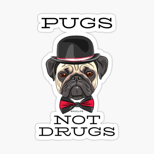 "Pugs Not Drugs Kids" Sticker for Sale by stueykavanagh | Redbubble