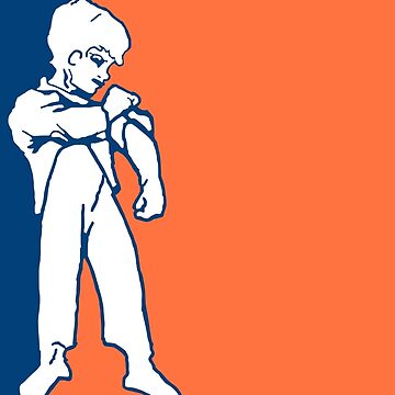 "Orania Flag" Poster for Sale by Nerd Army | Redbubble