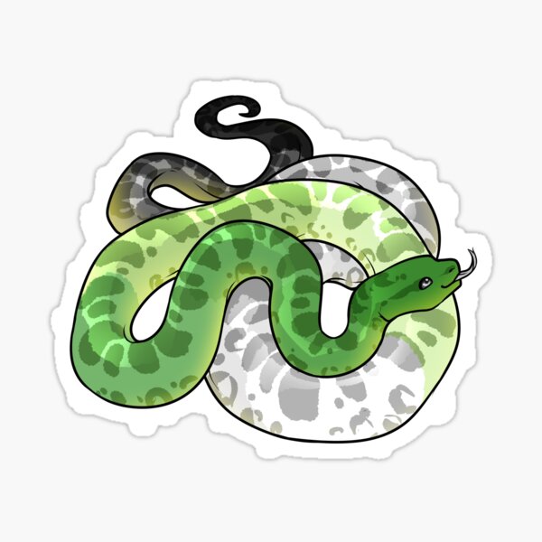 "Aromantic Anaconda " Sticker for Sale by smnius | Redbubble