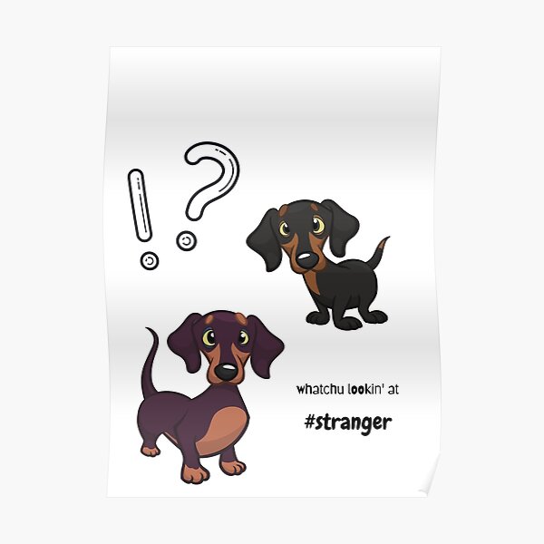 "Confused Dogs | Dachshund | Funny Caption" Poster for Sale by ...
