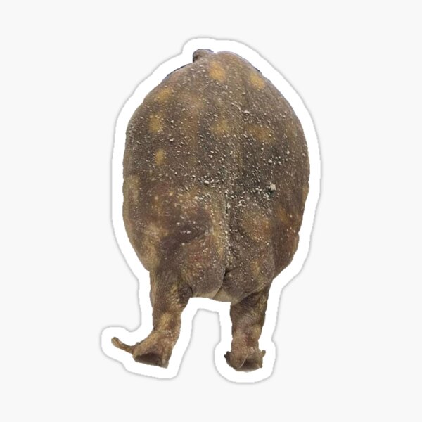"Frog Butt" Sticker by Marimomo | Redbubble
