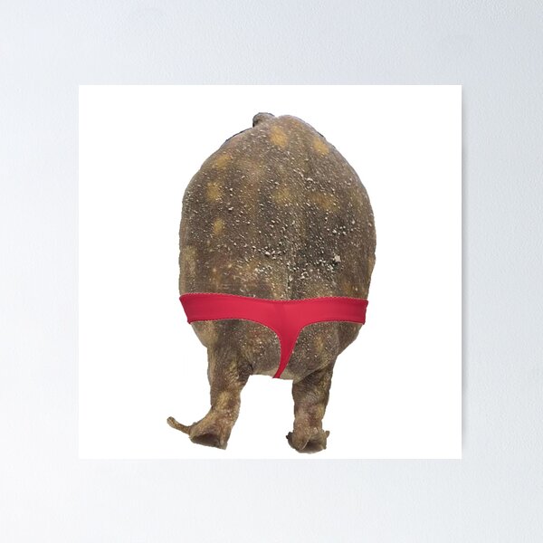"Frog Butt w Undies" Poster for Sale by Marimomo | Redbubble