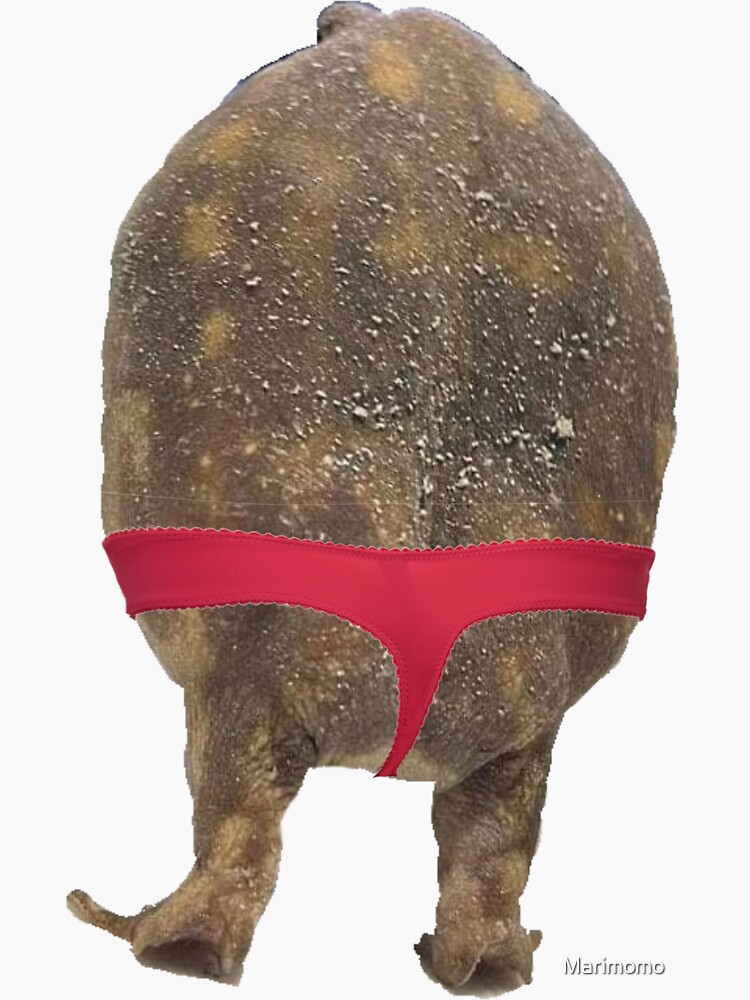 "Frog Butt w Undies" Sticker for Sale by Marimomo | Redbubble