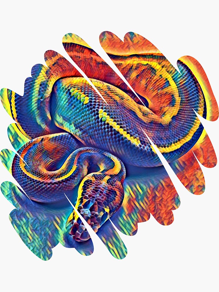 "Rainbow Ball Python Magic Revealed Graphic Ivory Morph" Sticker by ...