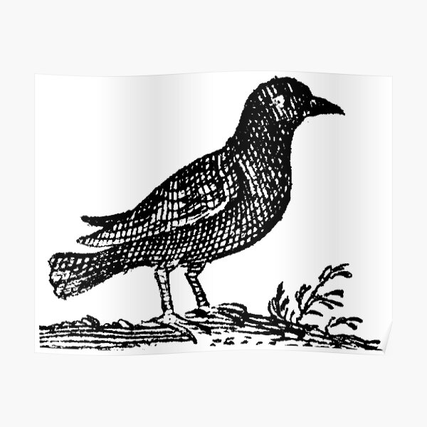 "Scratch, the Dirt Crow. " Poster by Quill-n-Ink | Redbubble